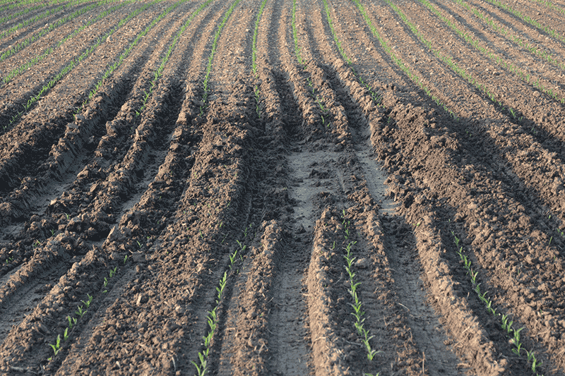 Be compaction aware! - Ontario Grain Farmer