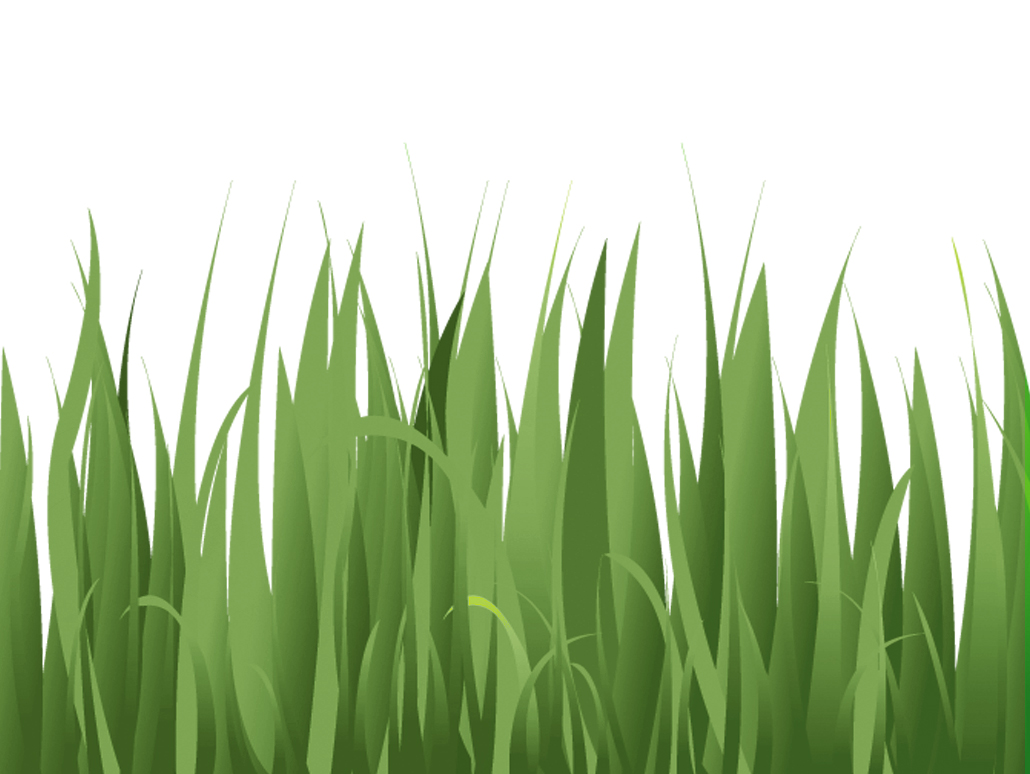 Exploring organic options for soil fertility and health - Ontario Grain ...