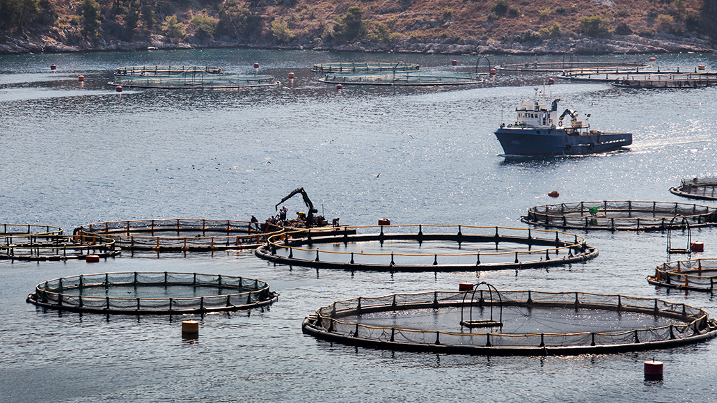 Feeding the aquaculture industry - Ontario Grain Farmer
