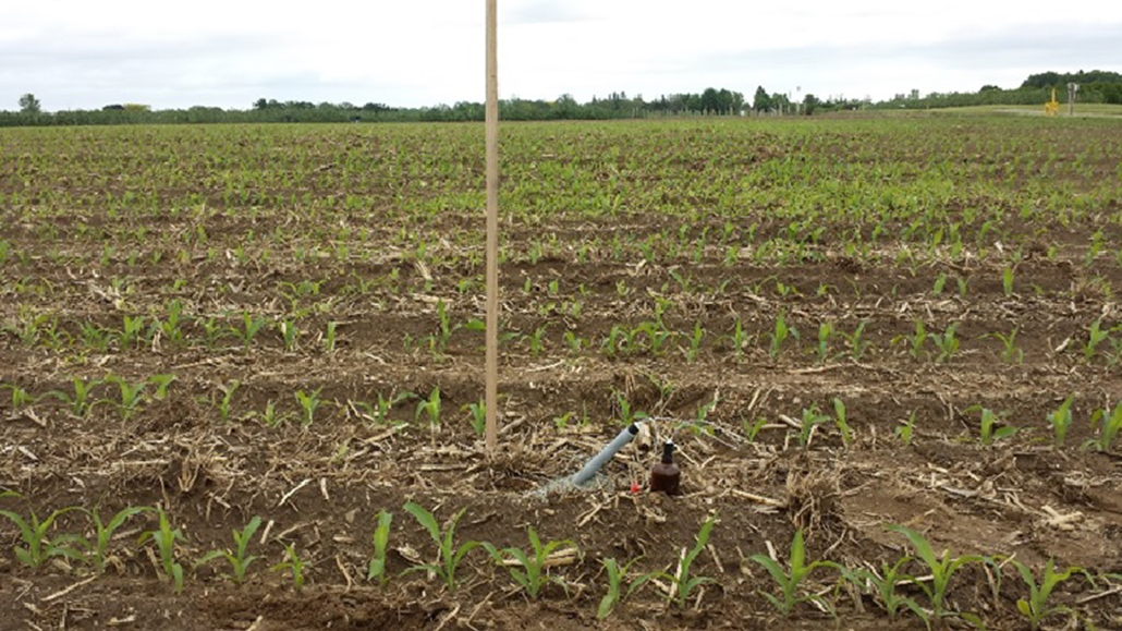 Monitoring groundwater pollution - Ontario Grain Farmer