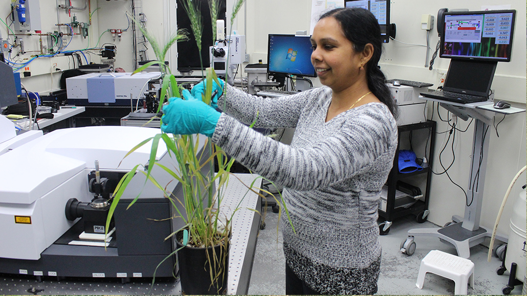 New screening technology - Ontario Grain Farmer