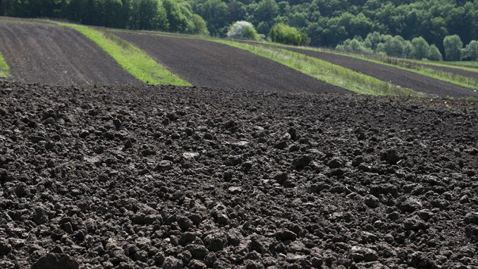 Biostimulating soils - Ontario Grain Farmer