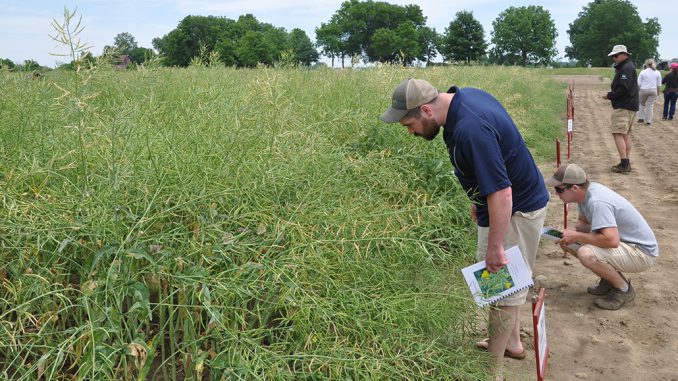 A new rotation? - Ontario Grain Farmer