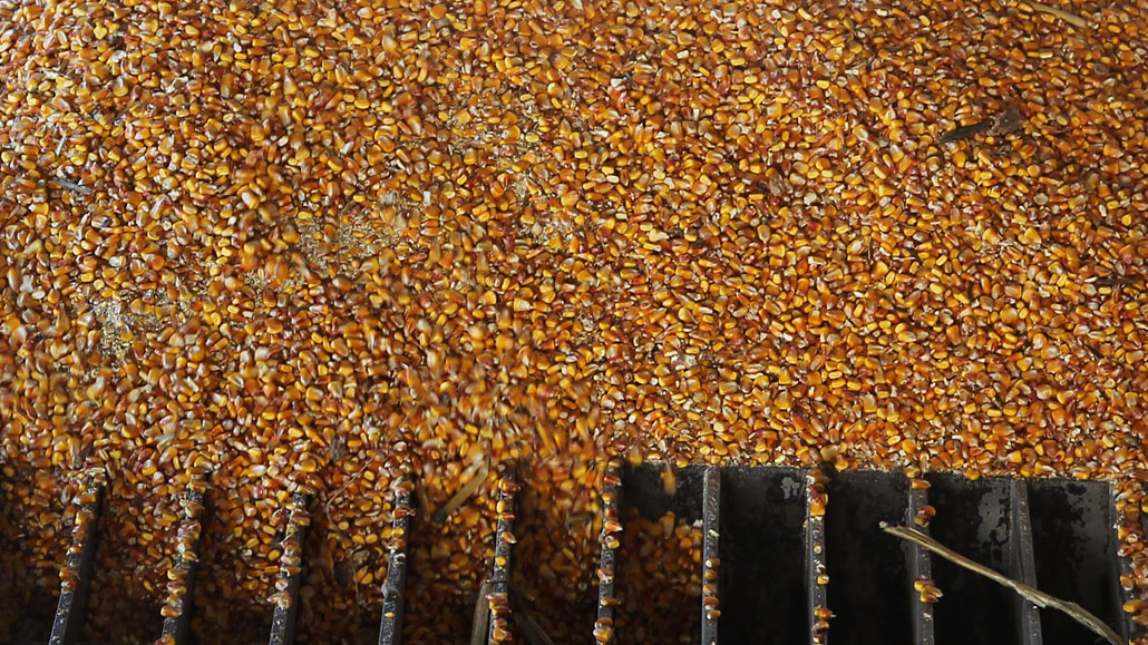 The value of corn - Ontario Grain Farmer