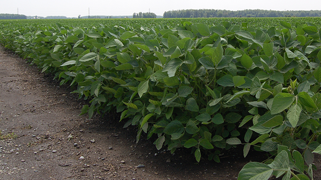 Preserving the future of farming - Ontario Grain Farmer