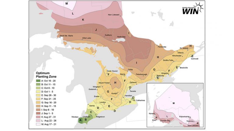Cropside: Planting wheat - Ontario Grain Farmer