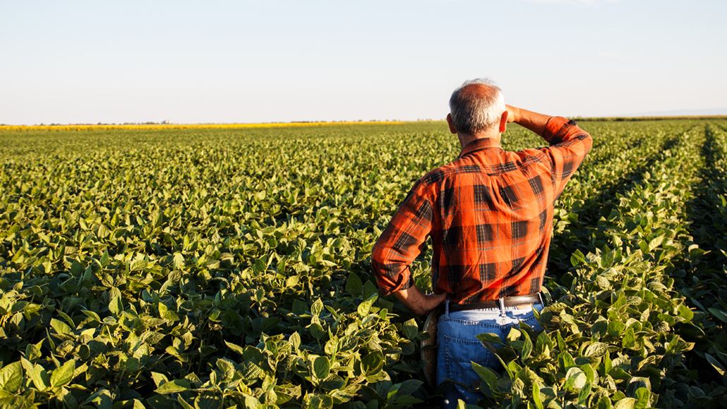 Farm succession finances - Ontario Grain Farmer