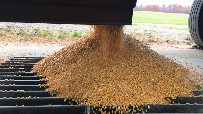 Safe grain handling - Ontario Grain Farmer