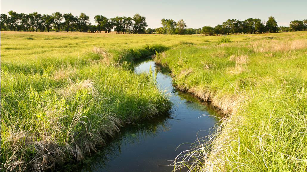 Protecting the future - Ontario Grain Farmer