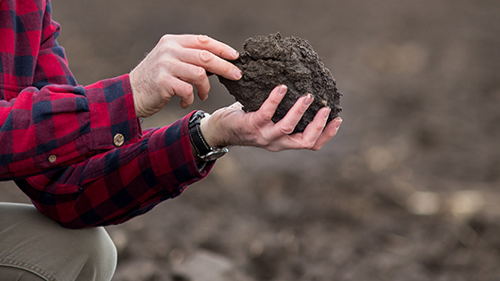 Soil Test Manager - Ontario Grain Farmer