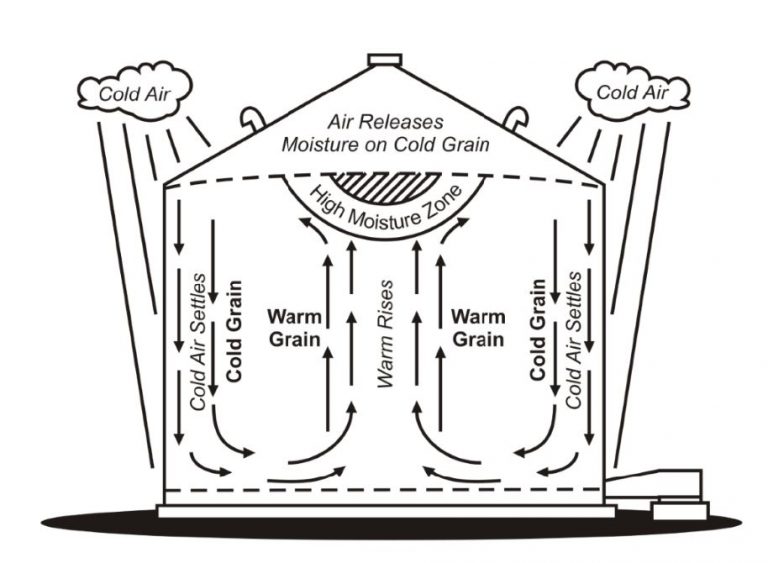 Storing grain safely - Ontario Grain Farmer