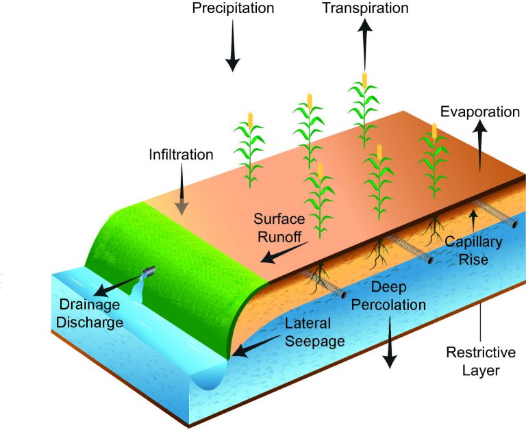 Water management - Ontario Grain Farmer