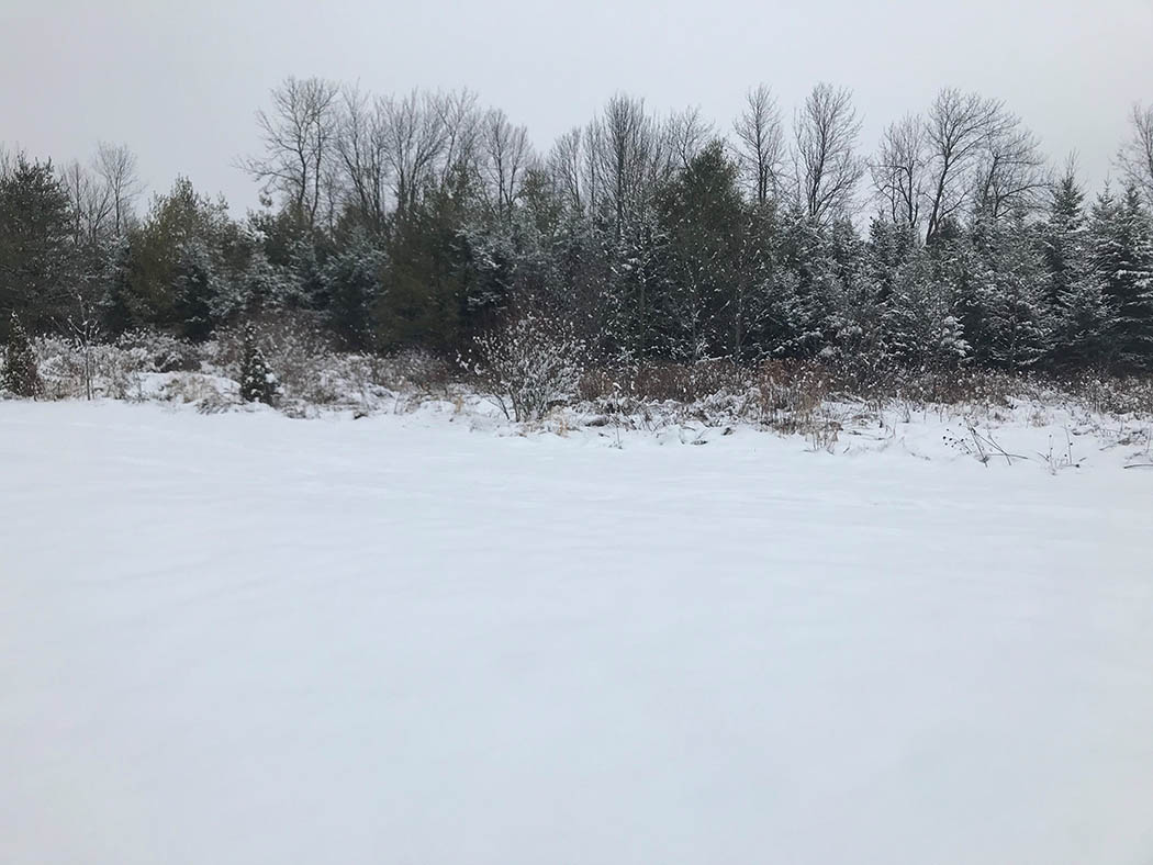 Land severance - Ontario Grain Farmer