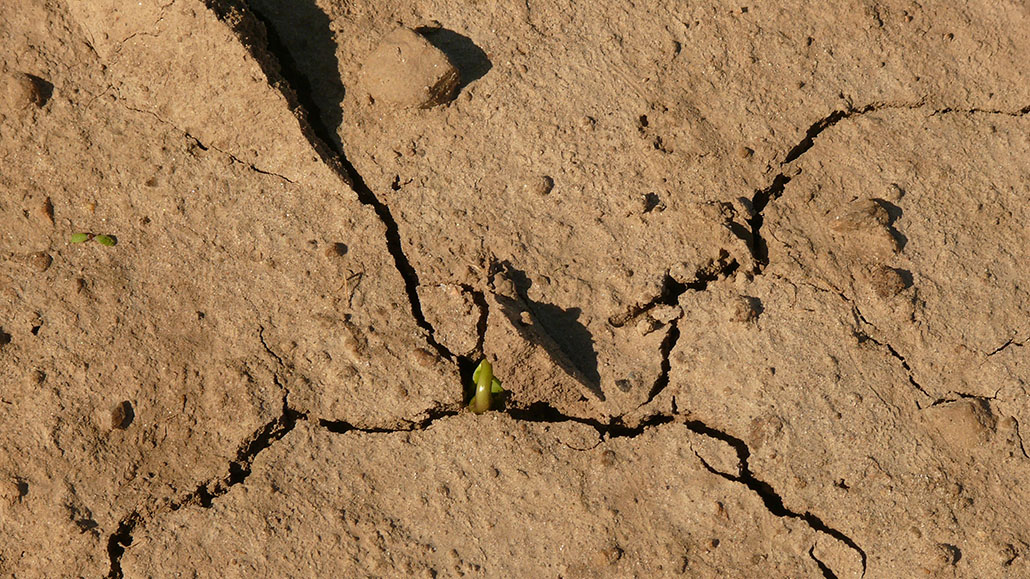 Water management - Ontario Grain Farmer
