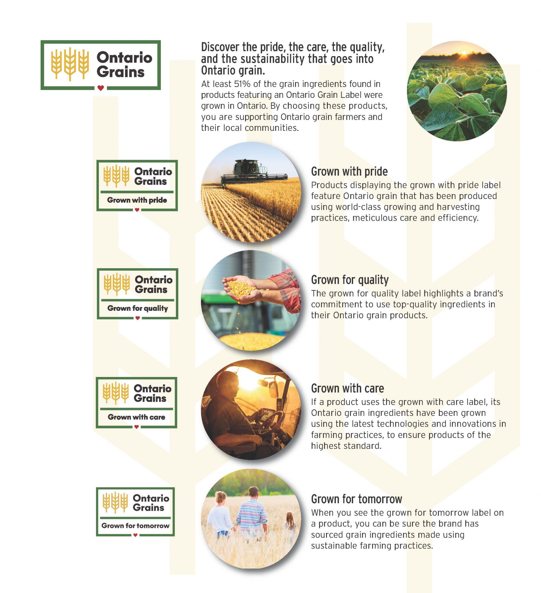 Ontario grains spotlight - Ontario Grain Farmer