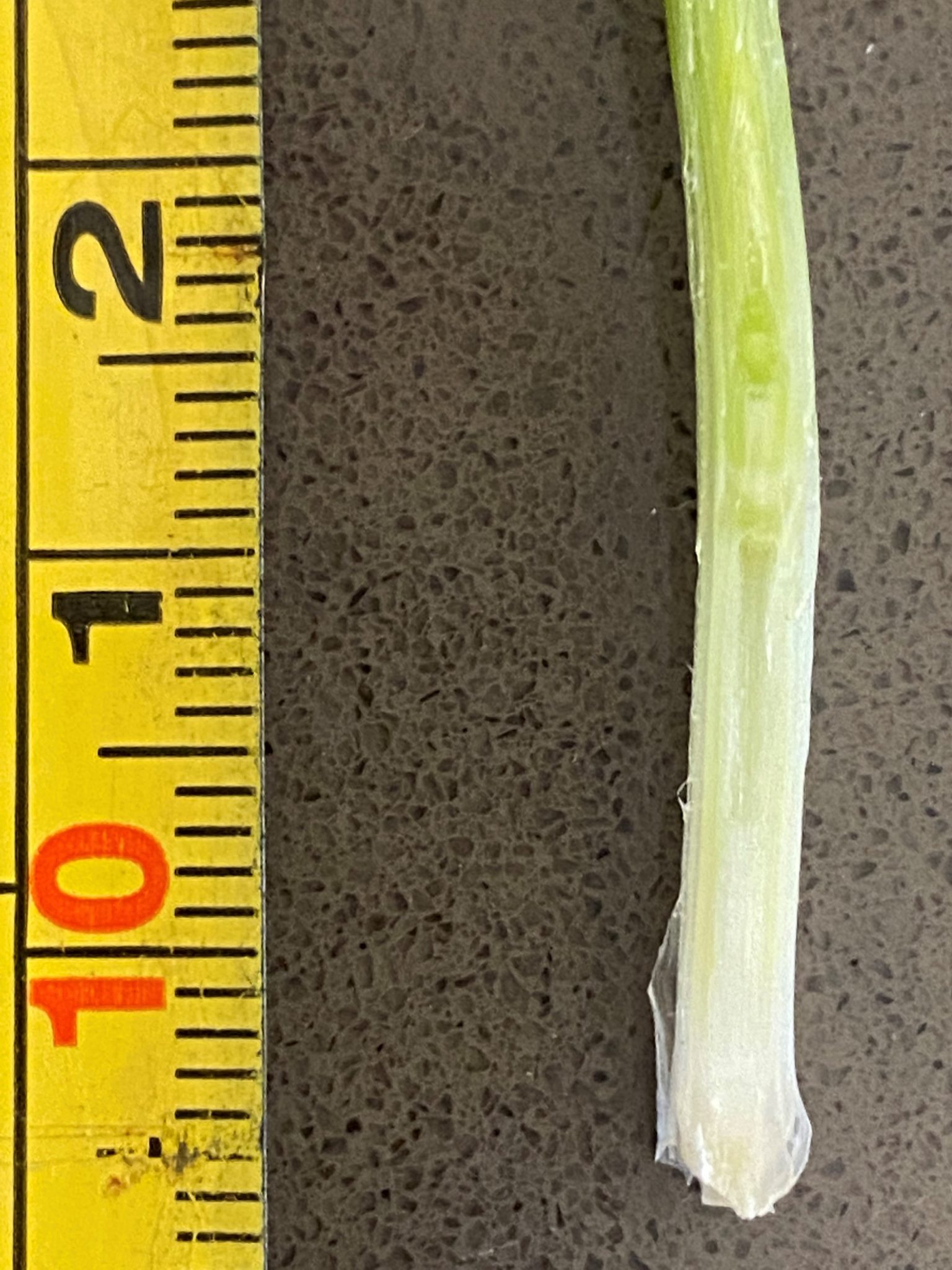 Field observations - Ontario Grain Farmer
