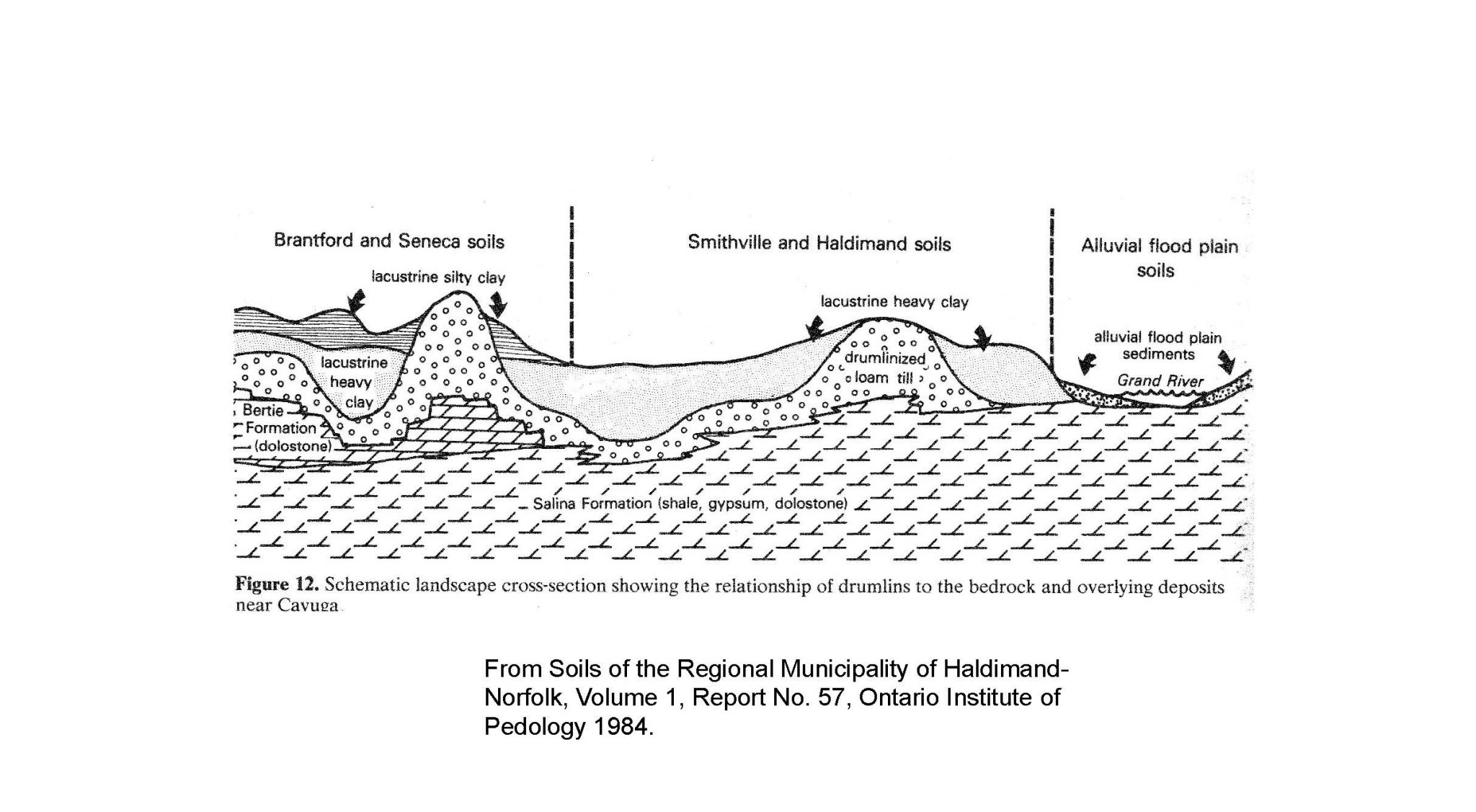 Water management - Ontario Grain Farmer