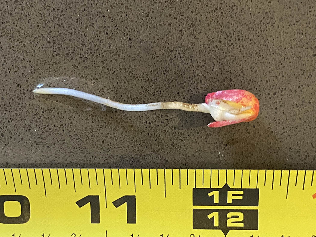 Field observations - Ontario Grain Farmer