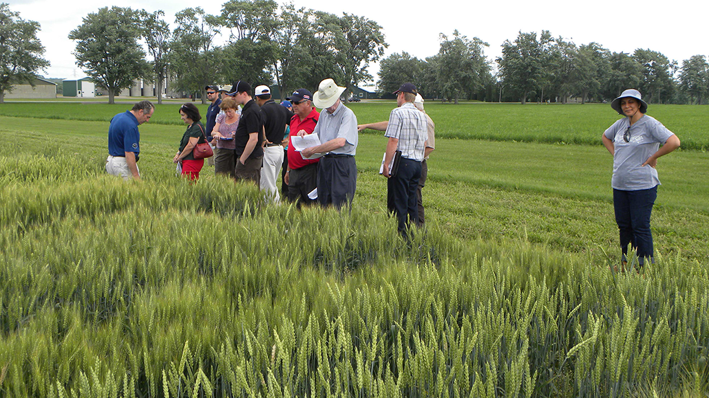 The magazine of Grain Farmers of Ontario - Ontario Grain Farmer