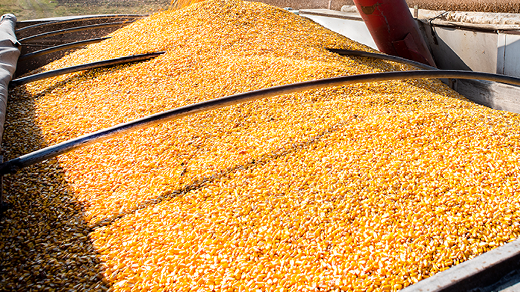 The magazine of Grain Farmers of Ontario - Ontario Grain Farmer