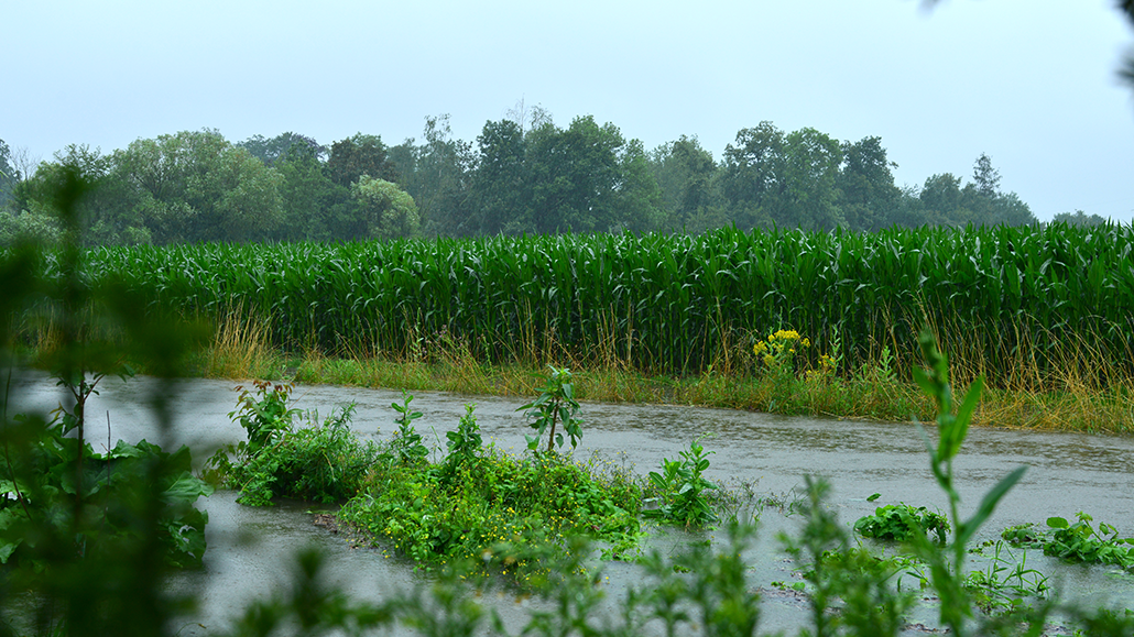 The magazine of Grain Farmers of Ontario - Ontario Grain Farmer