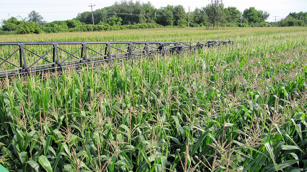 Reducing fertilizer emissions - Ontario Grain Farmer