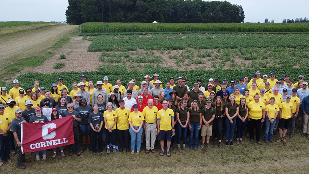 Weed Olympics - Ontario Grain Farmer