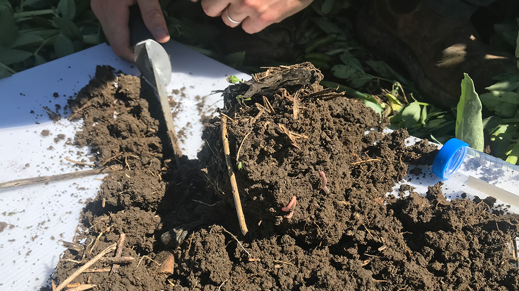 Measuring soil health - Ontario Grain Farmer