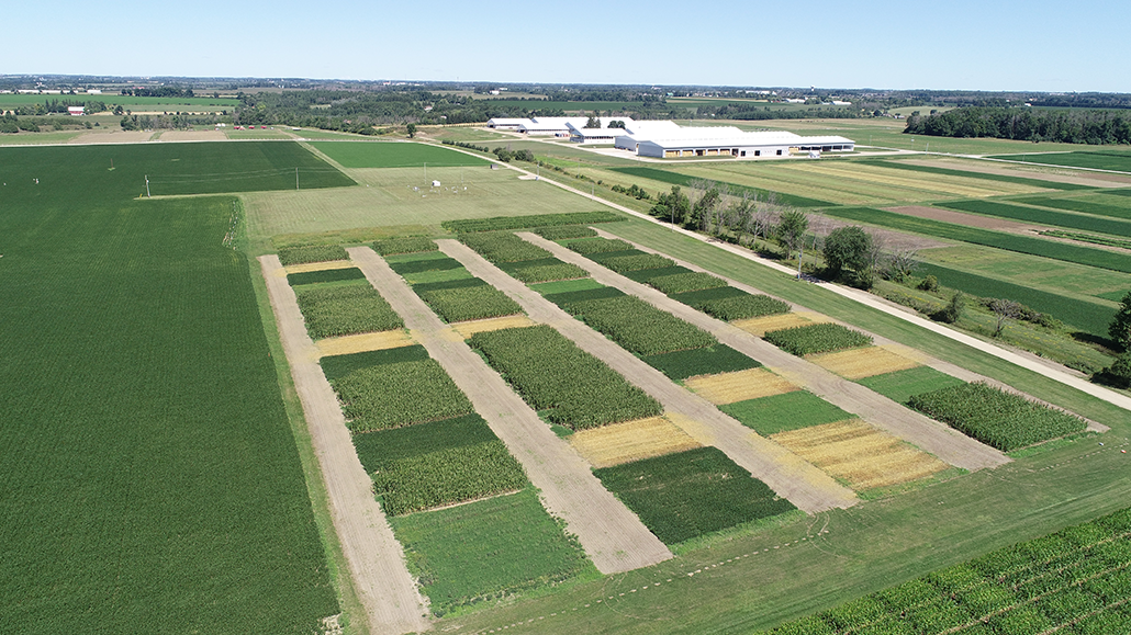 Winter wheat rotation - Ontario Grain Farmer