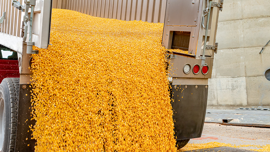 Assessing grain quality - Ontario Grain Farmer
