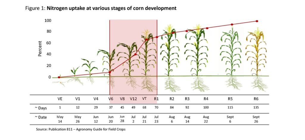 Nitrogen availability - Ontario Grain Farmer