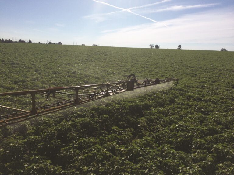 Weed management - Ontario Grain Farmer