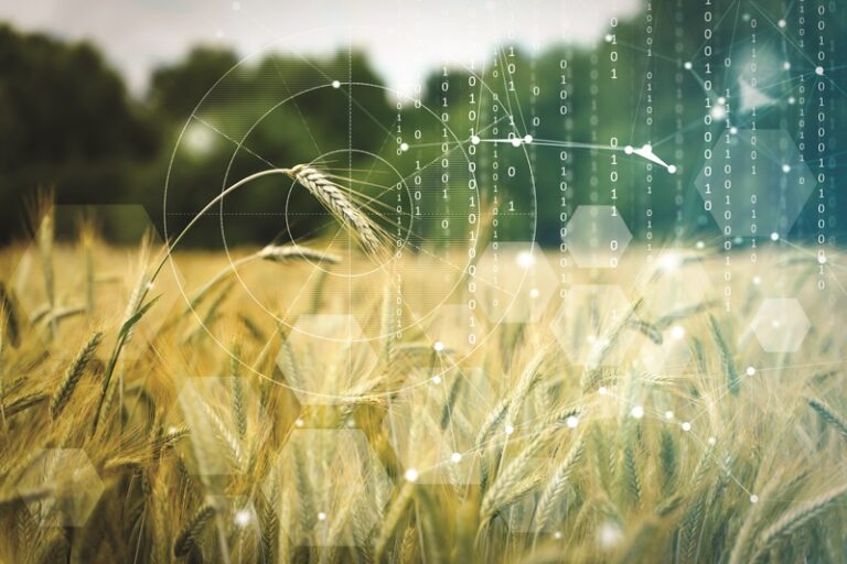Artificial intelligence on the farm - Ontario Grain Farmer