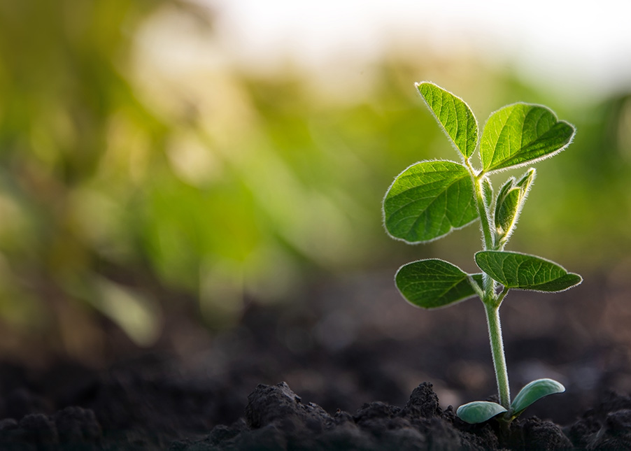 Leadership journey – Tyler Robertson - Ontario Grain Farmer