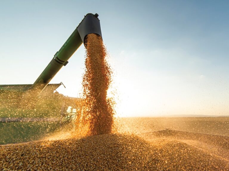 The magazine of Grain Farmers of Ontario - Ontario Grain Farmer